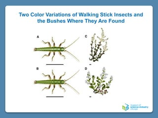 Form fits function | PPTX