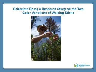 Form fits function | PPTX