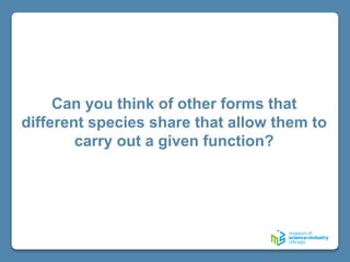 Form fits function | PPTX