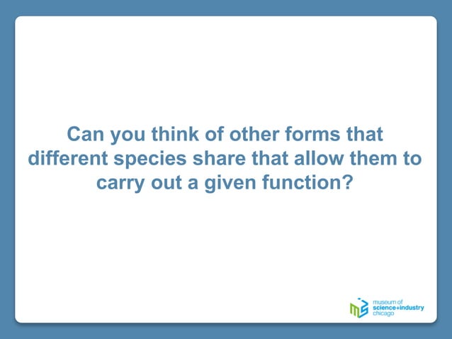 Form fits function | PPTX