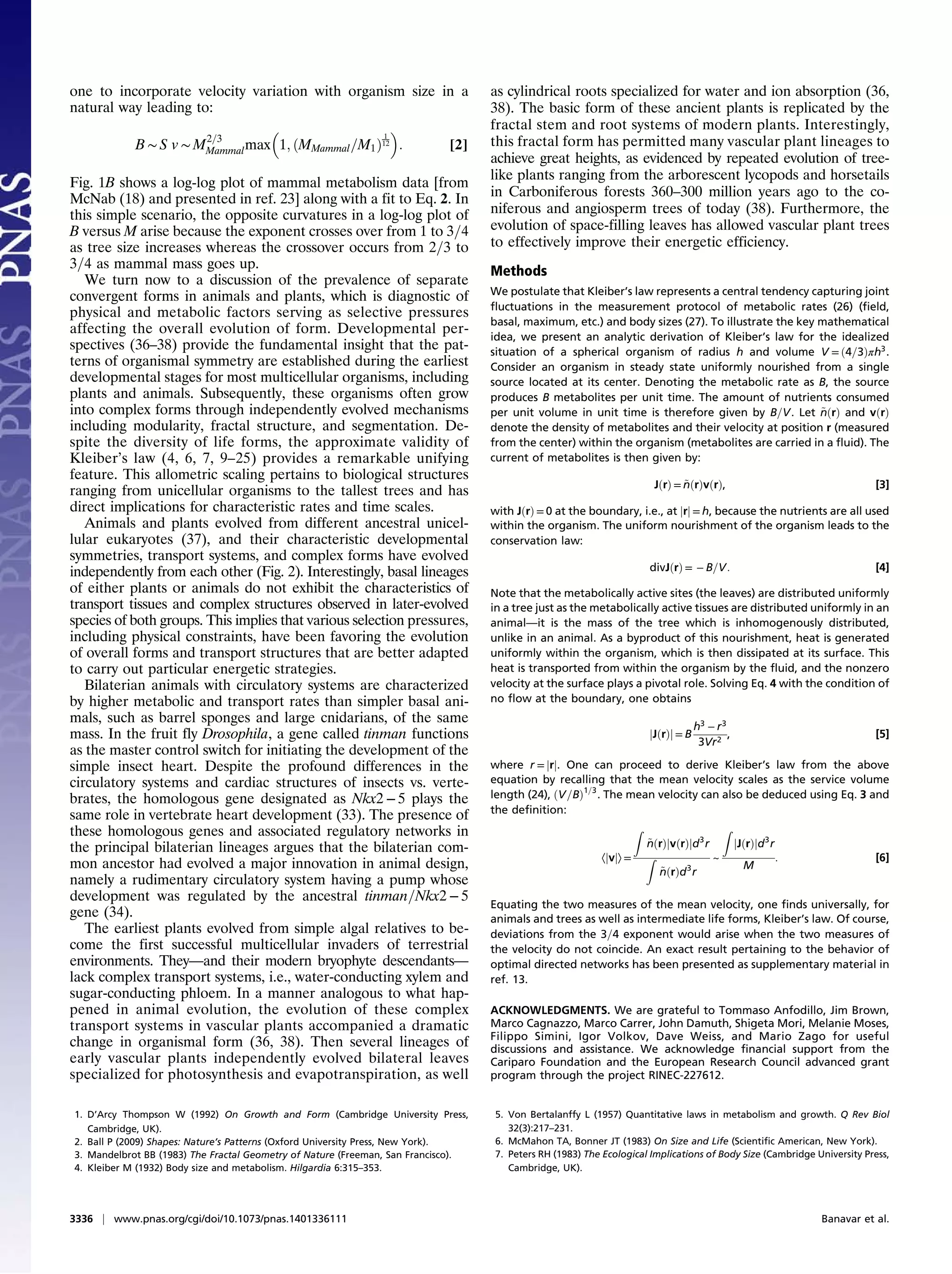 Form, function, and evolution of living organisms | PDF