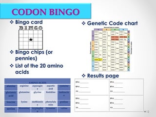 Form gene to protein and bingo | PPTX