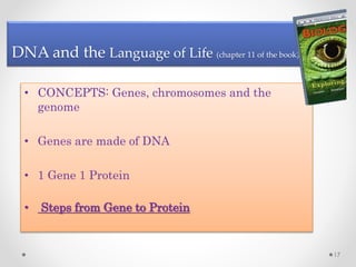 Form gene to protein and bingo | PPTX