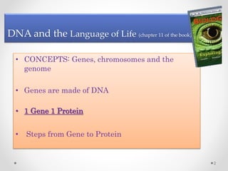 Form gene to protein and bingo | PPTX