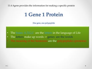 Form gene to protein and bingo | PPTX