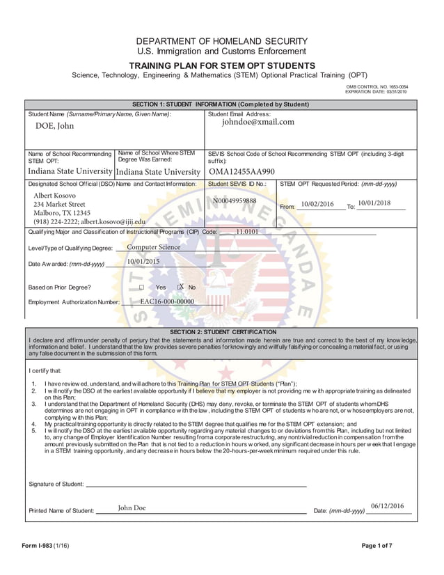 Form i 983 sample | PDF