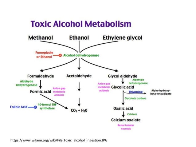 Formic Acid Poisoning.pptx | Digestive Disorders | Diseases and Conditions