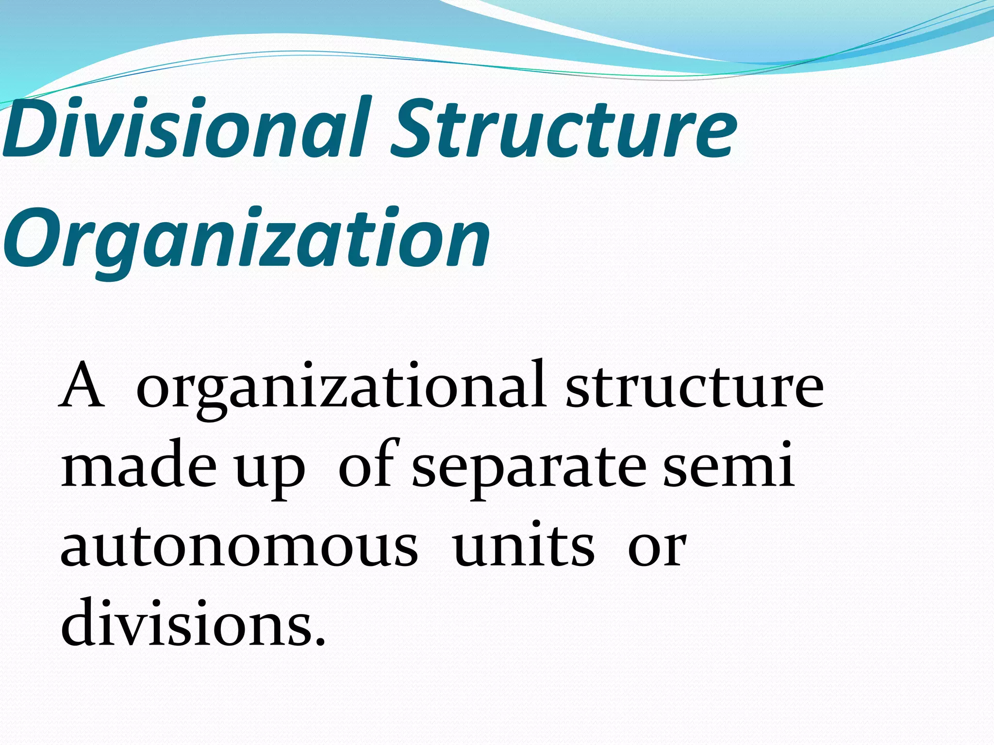 Form of organization structure by shashank vats (1) | PPT