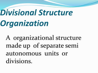 Form of organization structure by shashank vats (1) | PPTX