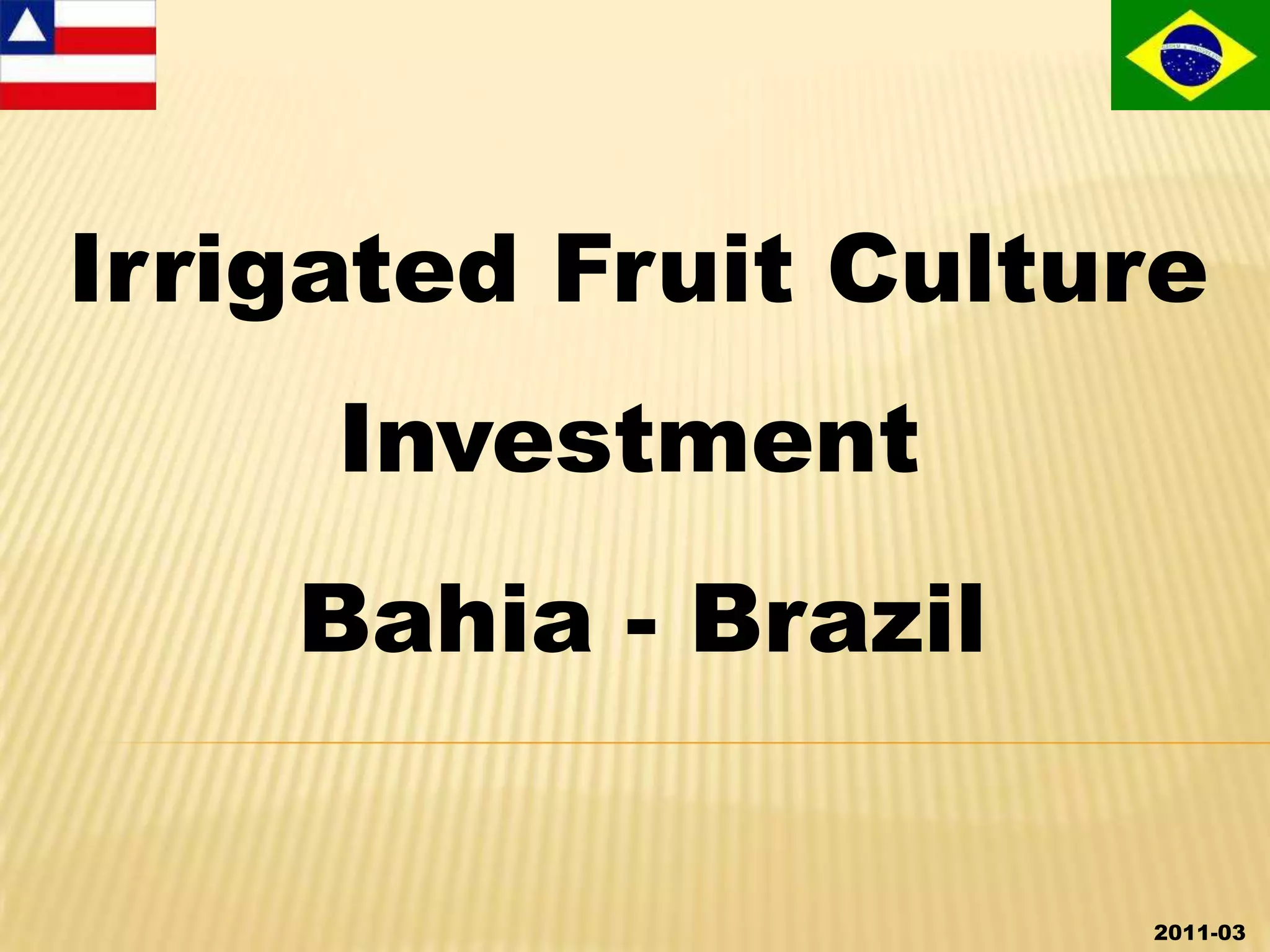 Formosa Barriguda - Brasil - Bahia | PPT