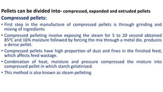 FORMS-OF-FISH-FEED.pdf