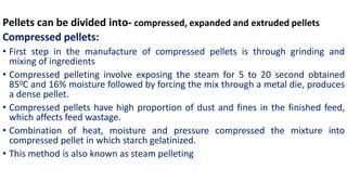 Forms of feed in fish.pptx