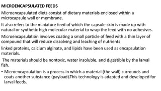 Forms of feed in fish.pptx