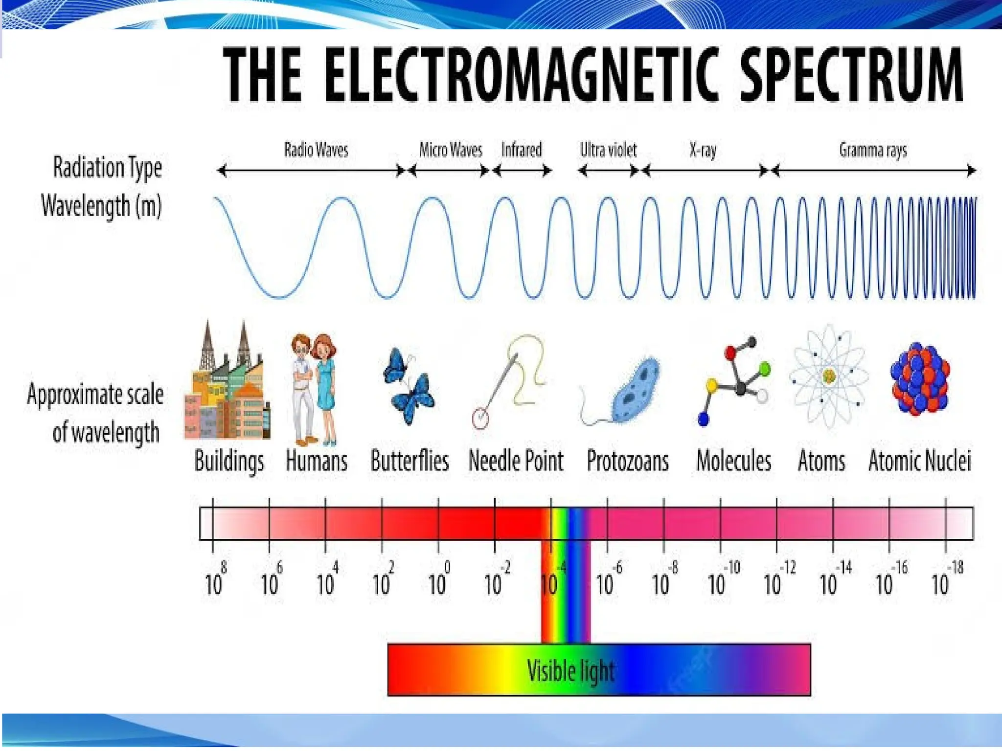 forms of electromagnetic waves powerpoint | PPTX
