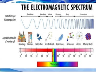 forms of electromagnetic waves powerpoint | PPTX