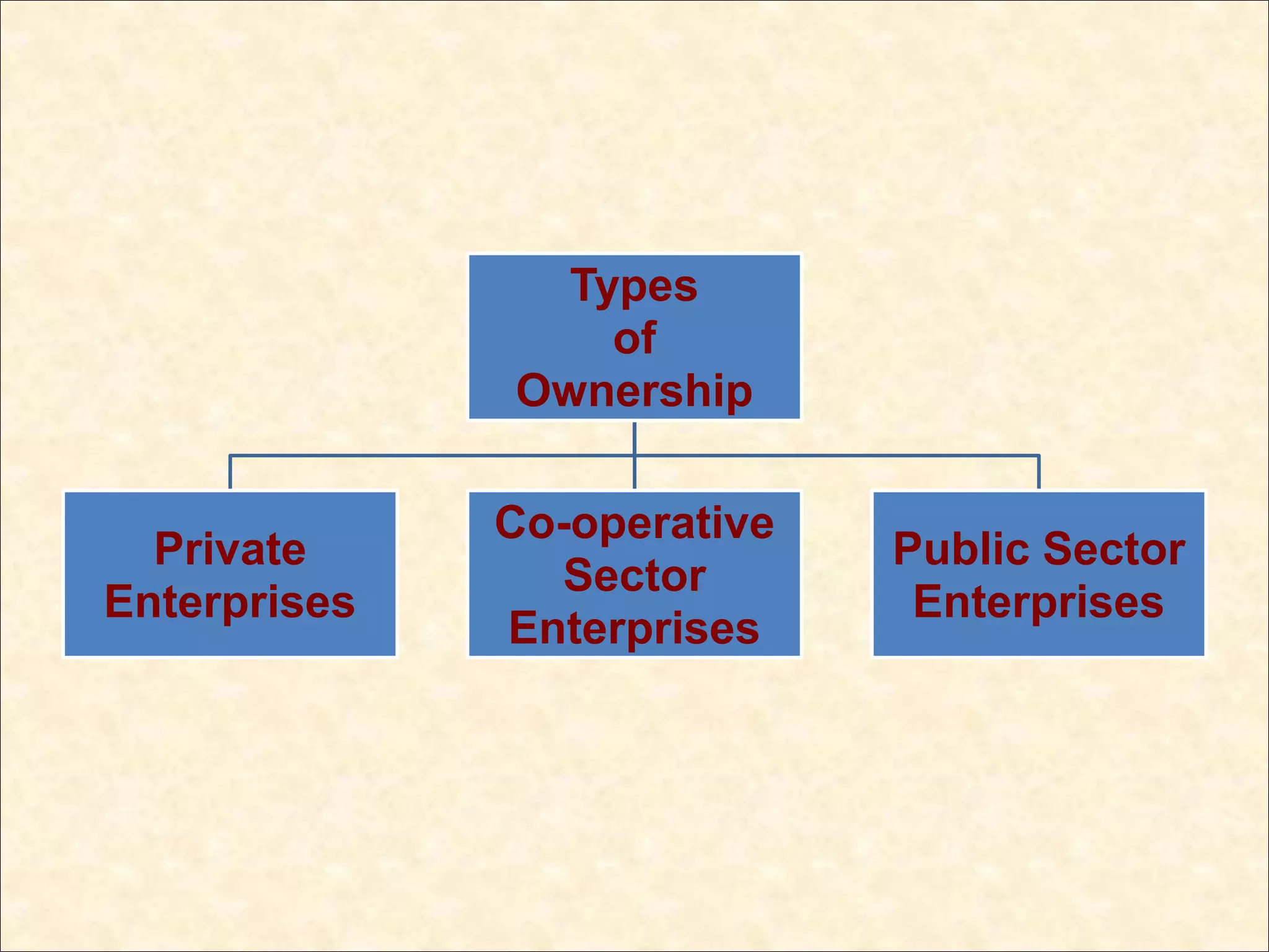 Forms of business organisations | PPTX