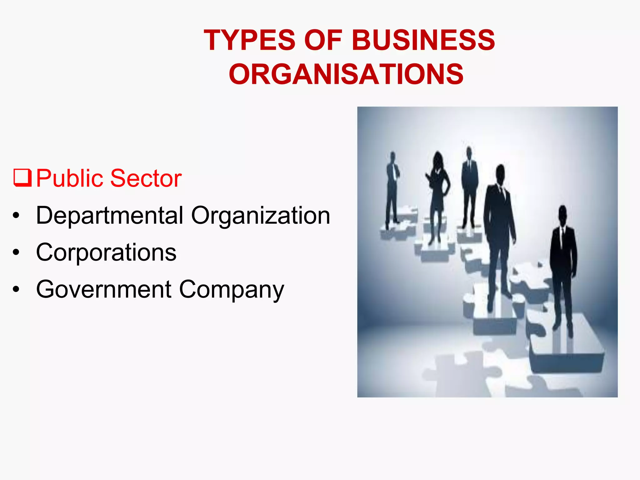 Forms of business organisations | PPTX | Business Accounting & Finance ...