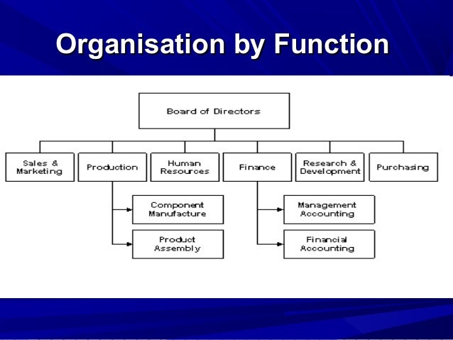 Forms of business organization