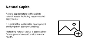 Forms Of Capital And Functions Of Capital.pptx
