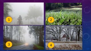 Forms of condensation | PPTX