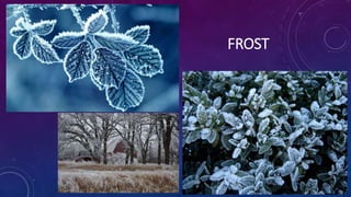 Forms of condensation | PPTX