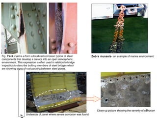 Forms Of Corrosion | PPT