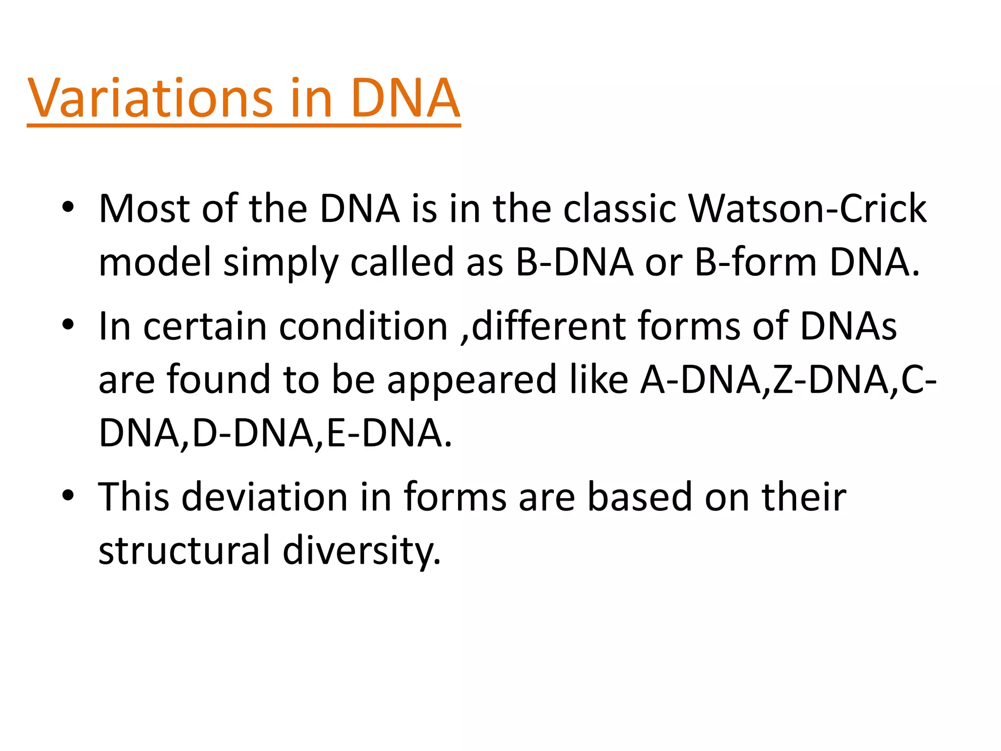 FORMS OF DNA | PPTX