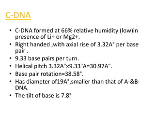 FORMS OF DNA | PPTX