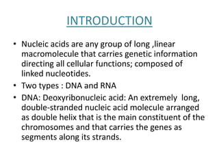 FORMS OF DNA | PPTX