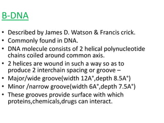 FORMS OF DNA | PPTX