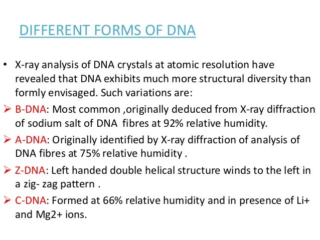 FORMS OF DNA