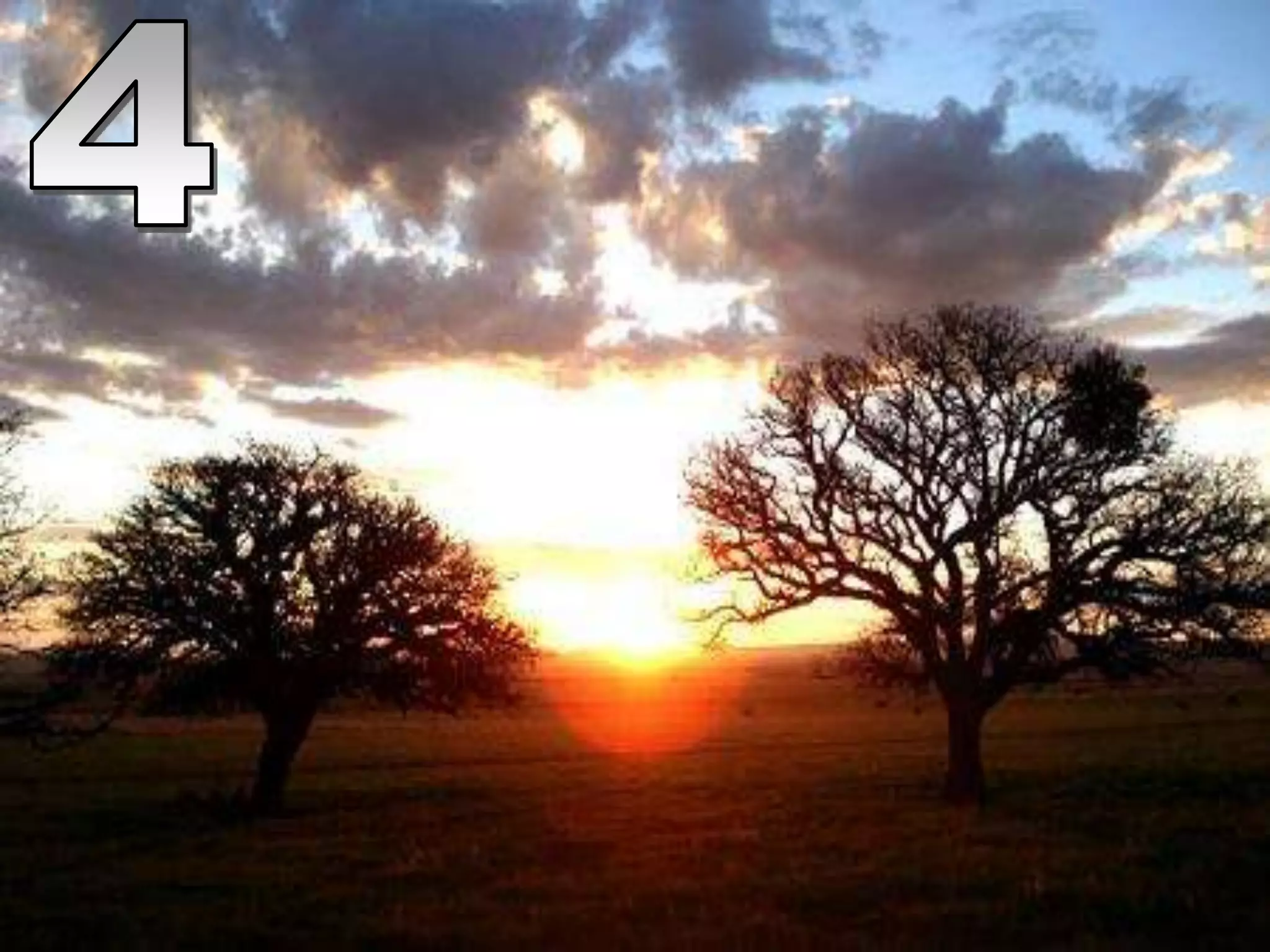 Forms of Energy Visual Quiz, Physical Science Lesson PowerPoint | PPTX