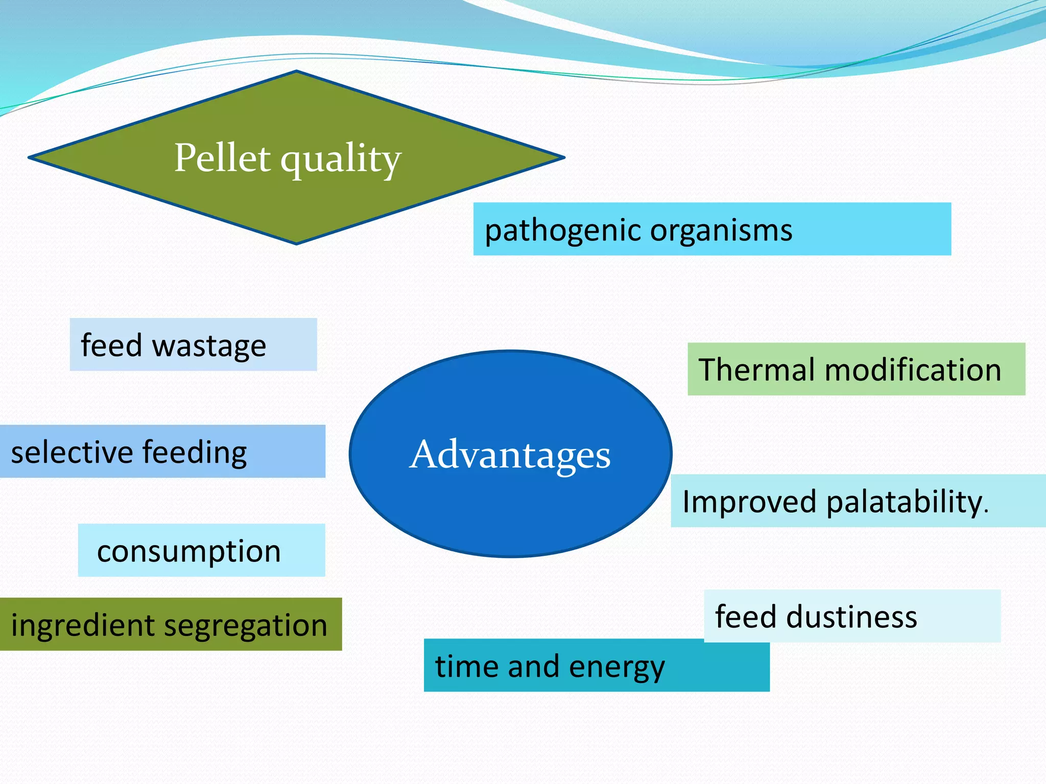 Forms of feed used in poultry | PPTX