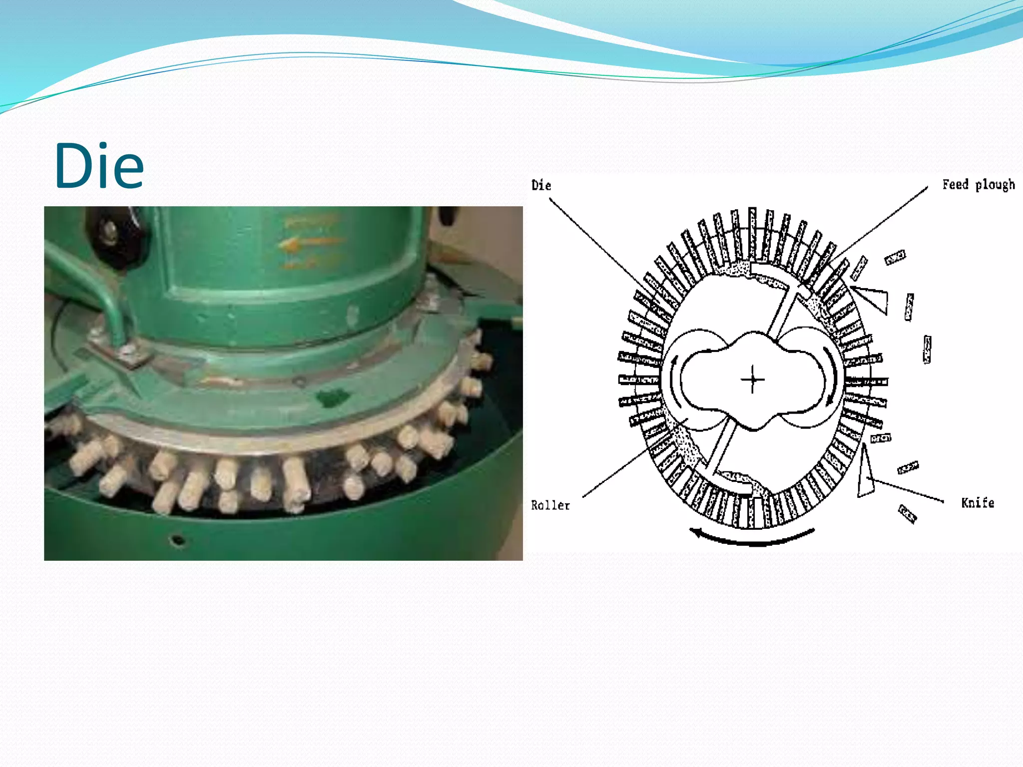 Forms of feed used in poultry | PPTX
