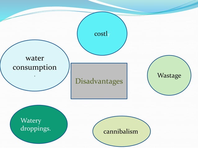 Forms of feed used in poultry | PPTX