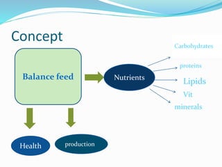 Forms of feed used in poultry | PPTX