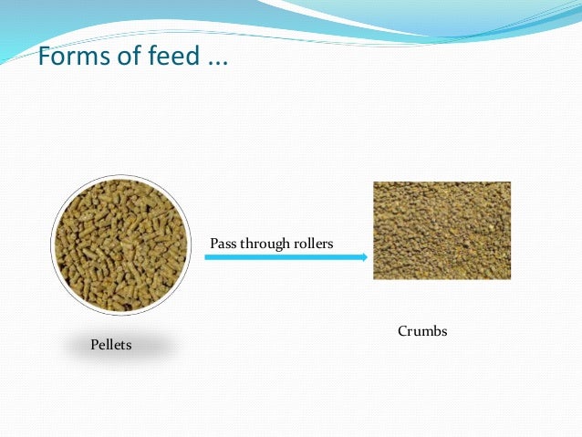 Forms of feed used in poultry