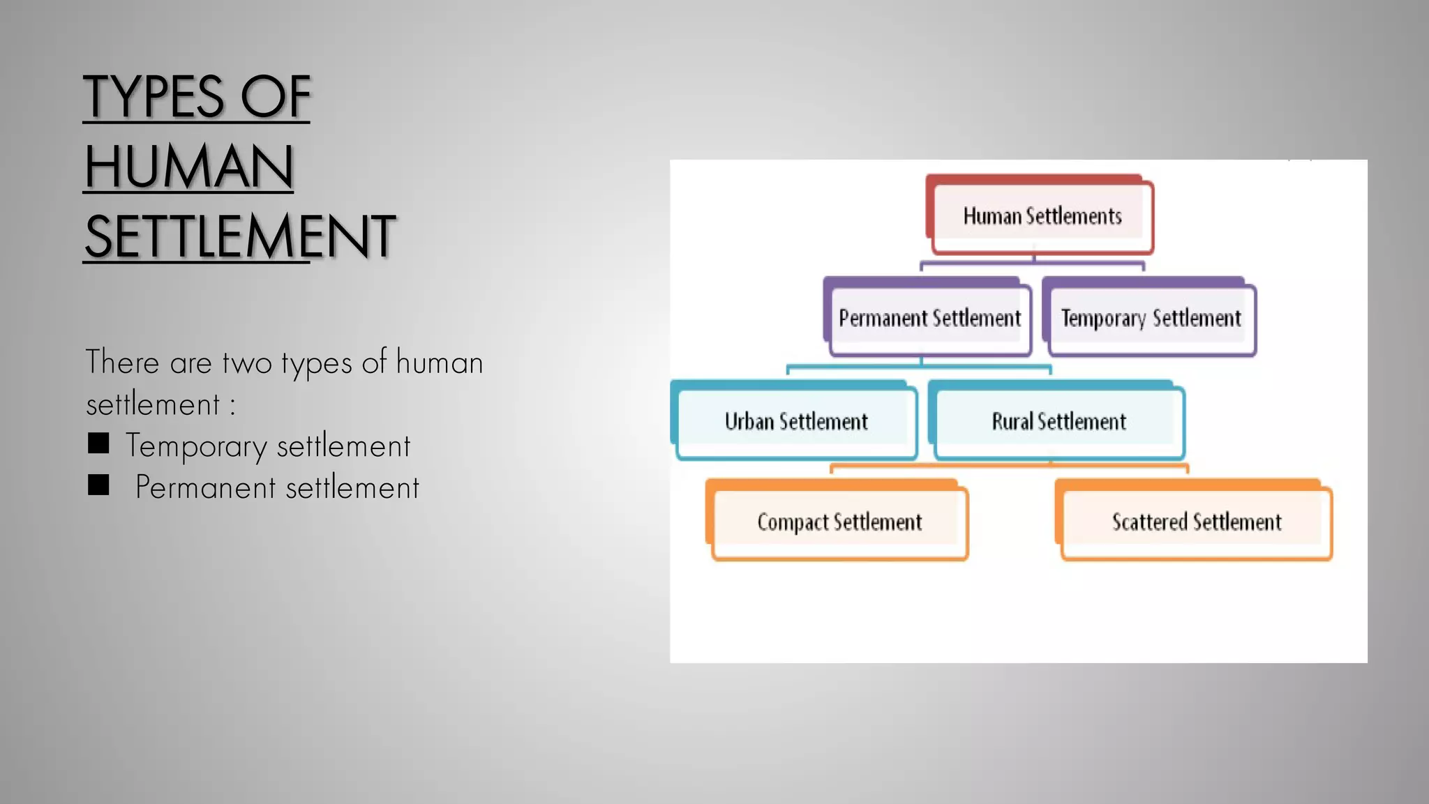 FORMS OF HUMAN SETTLEMENT.pdf