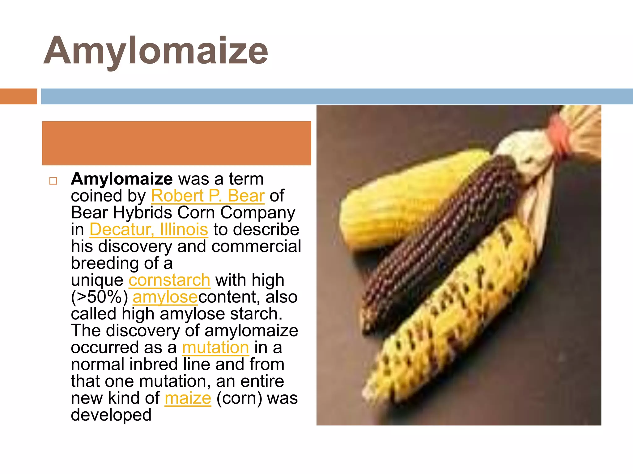 Forms of maize A Presentation By Mr Allah Dad Khan Visiting Professor ...