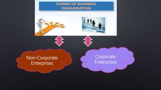 Forms of organisation non-corporate enterprises | PPT
