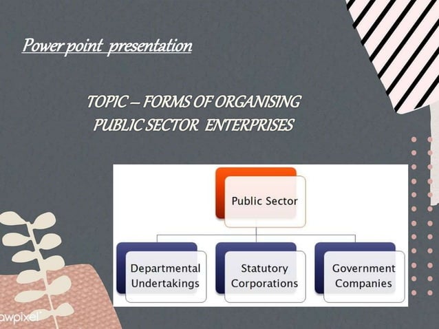 FORMS OF ORGANISING PUBLIC SECTOR ENTERPRISES.pptx