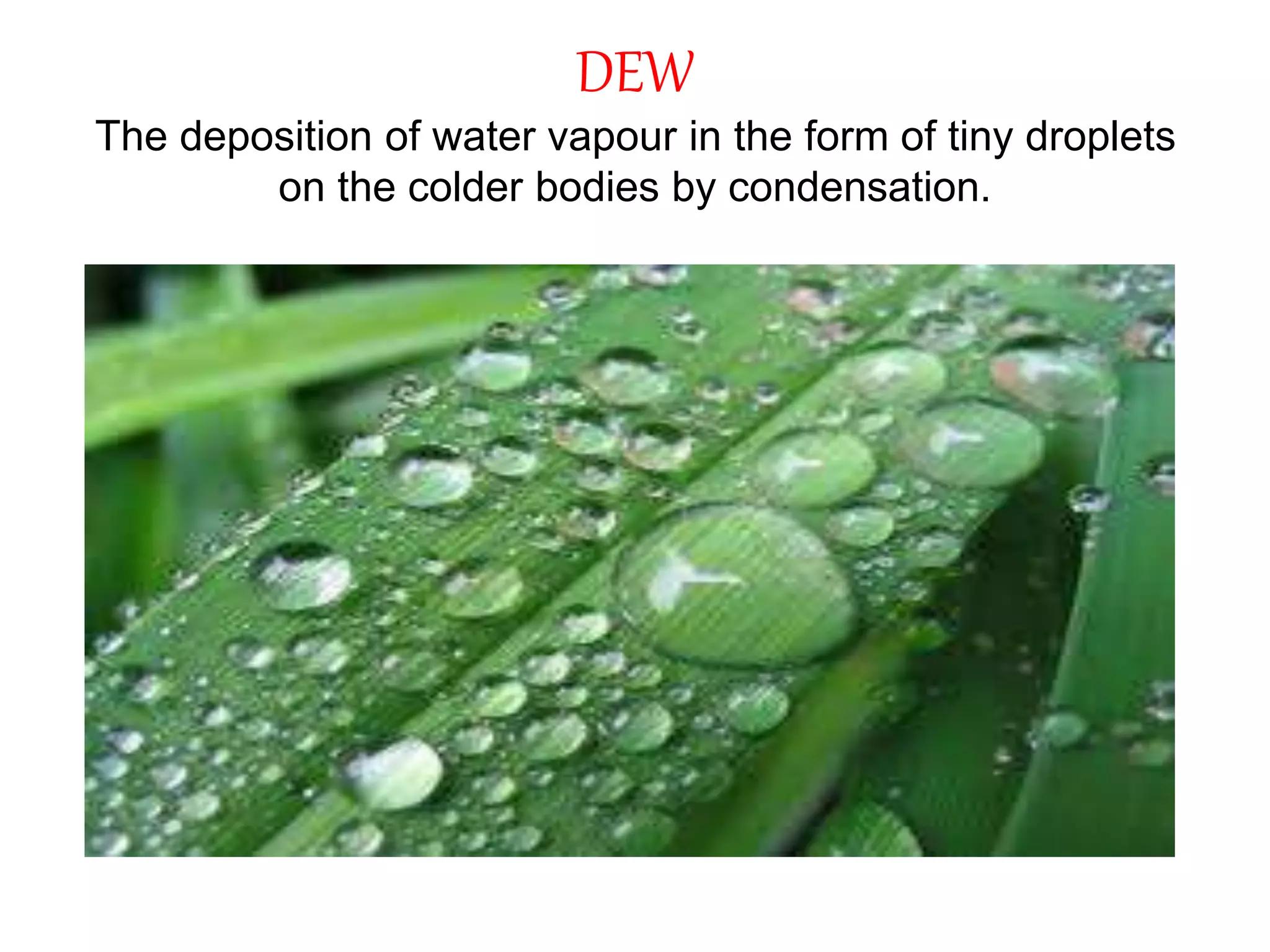 FORMS OF CONDENSATION | PPTX