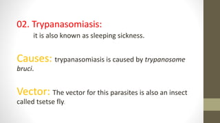 Forms of trypanosomatida | PPT