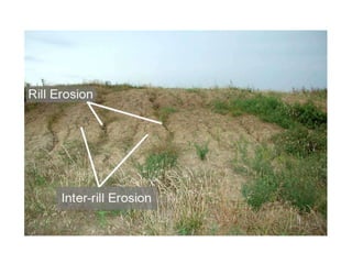Interrill Erosion