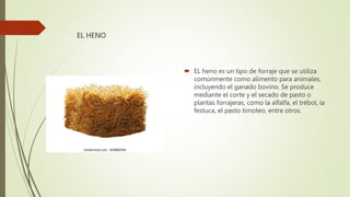 formulación de alimentos para bovinos pptx | PPTX