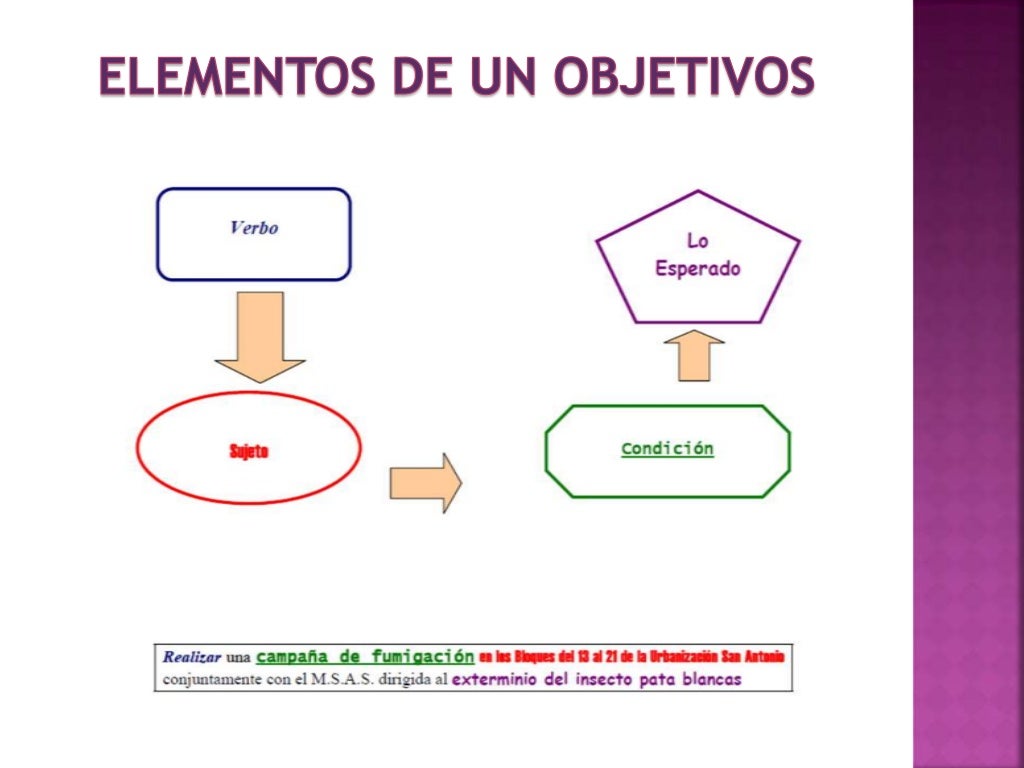 Formulacion de objetivos