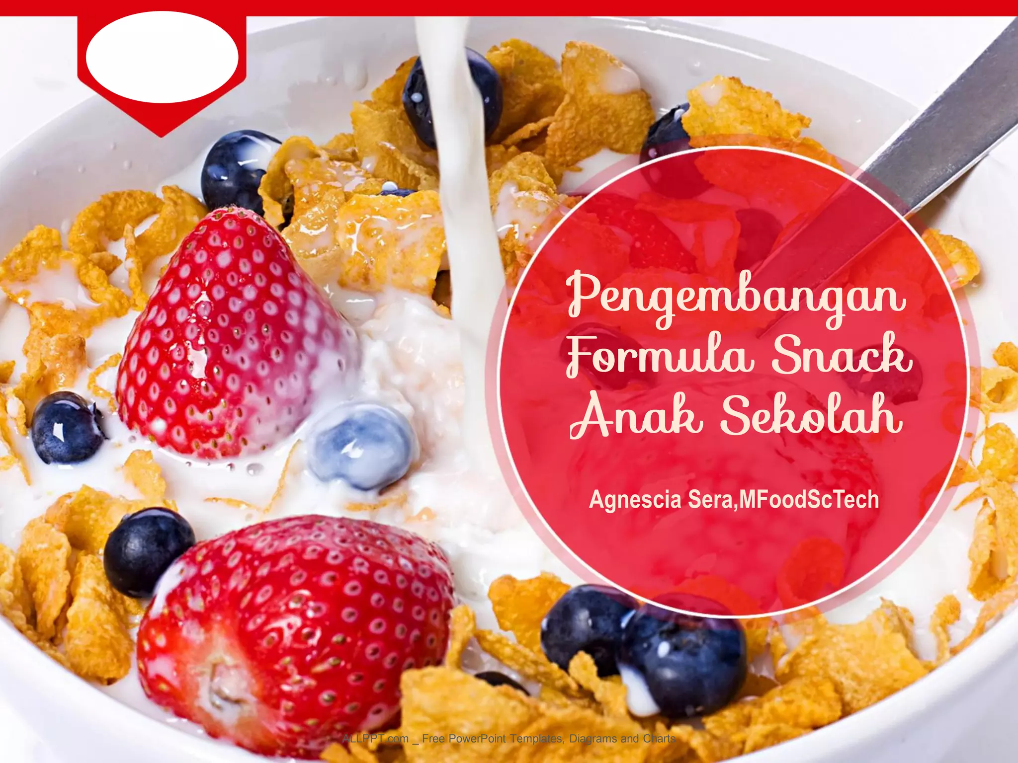 Formula makanan anak sekolah | PDF