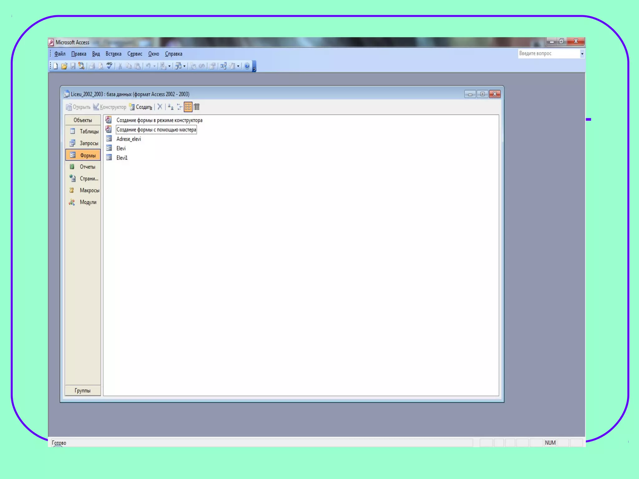 Formulare acces | PPT