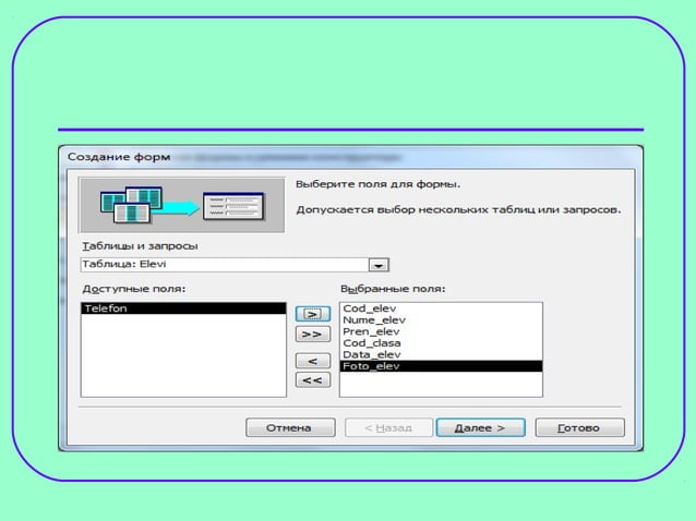 Formulare acces | PPT