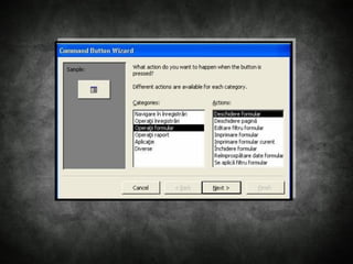 Formulare+access[1] | PPT